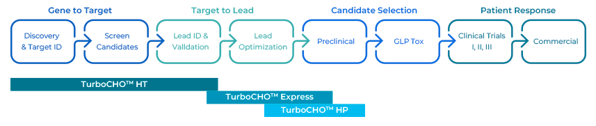 TurboCHO™抗体表达平台 - 金斯瑞