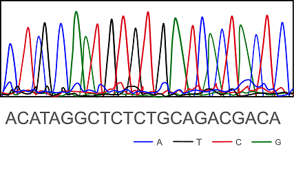 全质粒测序服务 - 金斯瑞